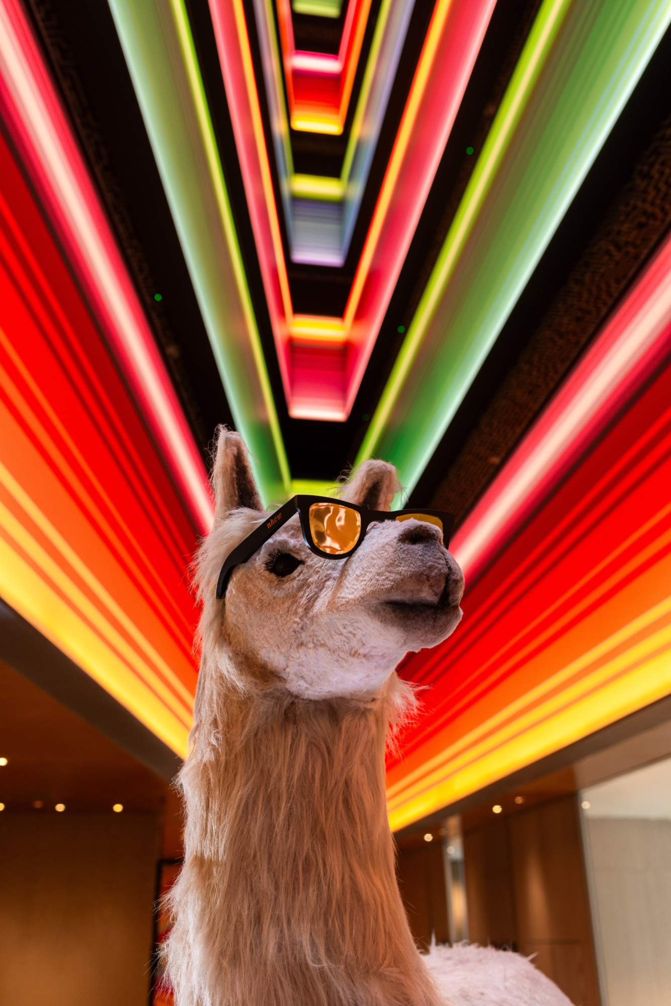 nhow Lima Hotel, located in Miraflores | NH Hotels & Resorts